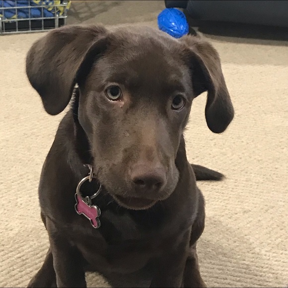 Rob's Closet (@rob_helgeson) | Poshmark